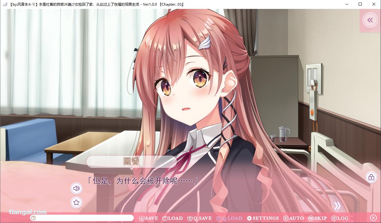 [AVG]本是社畜的我被JK美少女捡回了家 汉化免安装版 天遊二次元